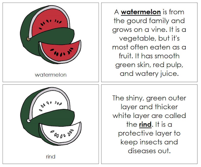 Parts of a Watermelon Nomenclature Book - Montessori Botany (digital ...
