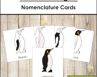 Parts of a Pig Nomenclature 3-part Cards & Blackline Master ...