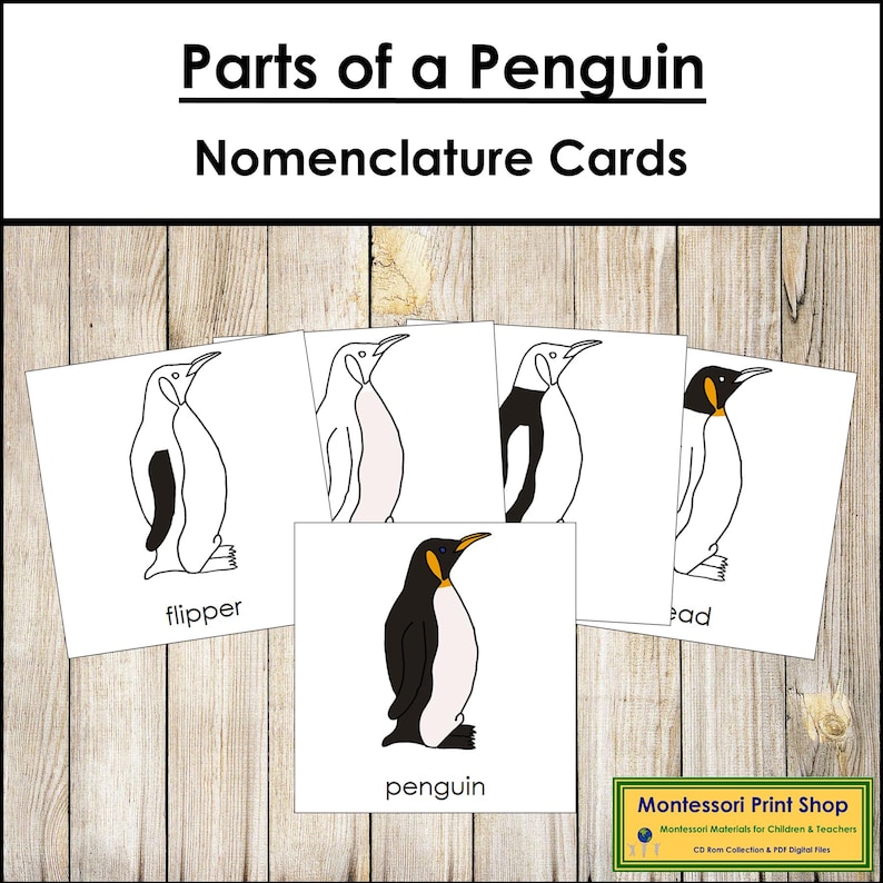 Parts of a Penguin Nomenclature 3-part Cards & Blackline Master ...