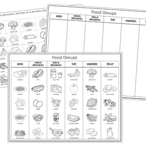 Food Groups Blackline Masters - Montessori Science - Printable ...