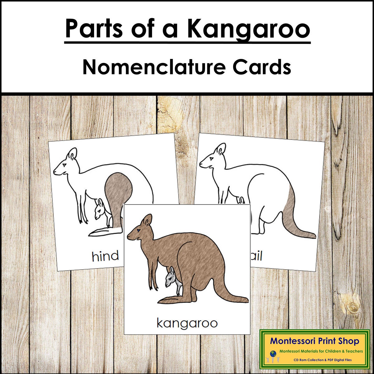 Parts of a Kangaroo Nomenclature 3-part Cards Montessori Zoology ...