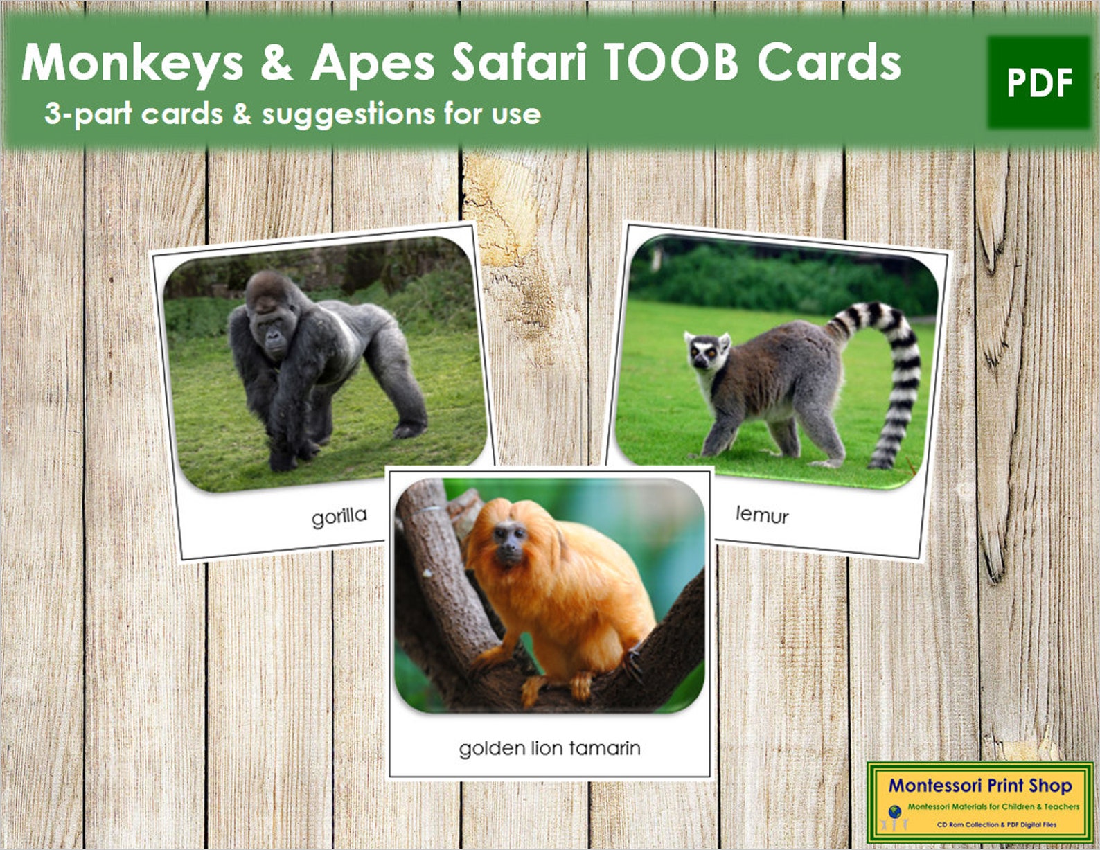 Monkeys & Apes Safari TOOB Cards Printable Montessori Cards | Etsy