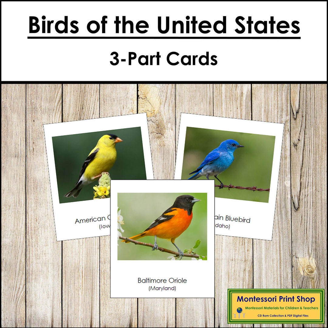 State Birds of the USA 3-part Cards - Animals - Printable Montessori ...