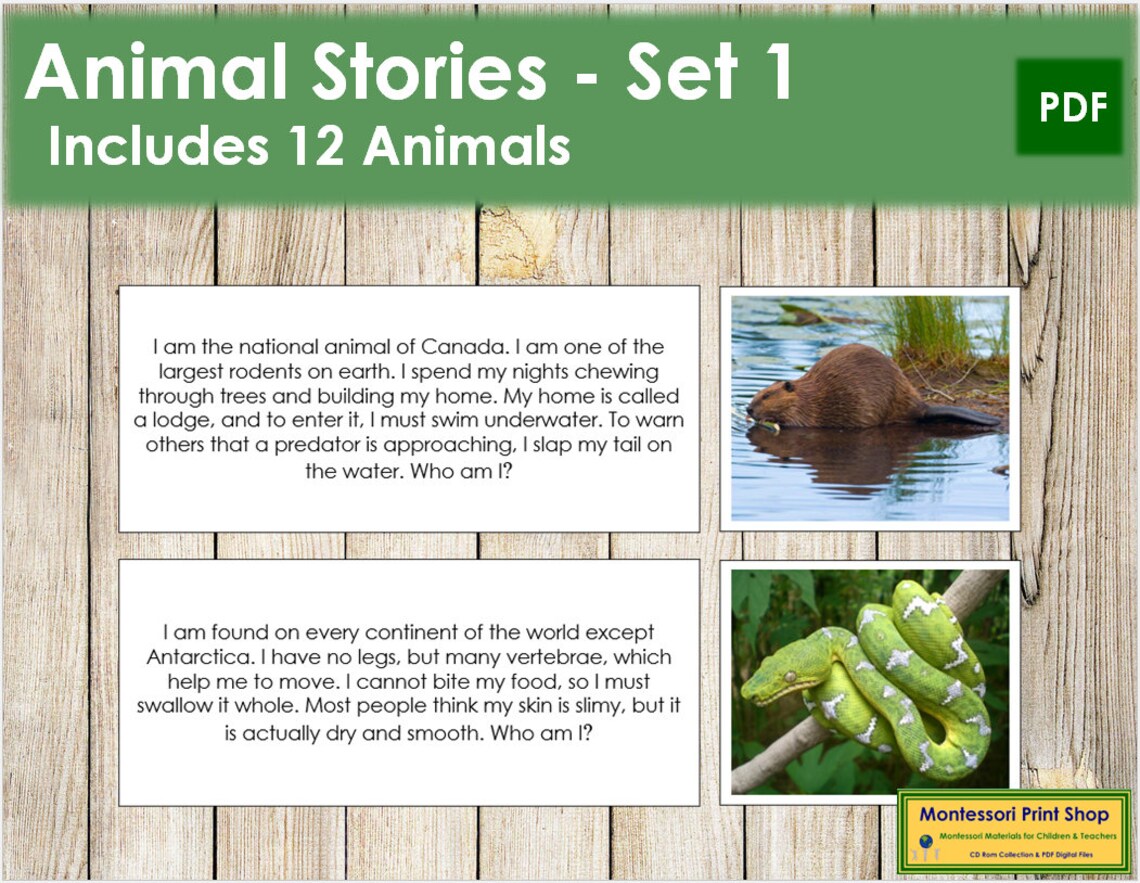 Animal Stories Set 1 Zoology Printable Montessori Cards - Etsy