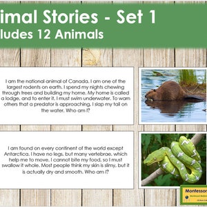 Animal Stories Set 1 Zoology Printable Montessori Cards - Etsy