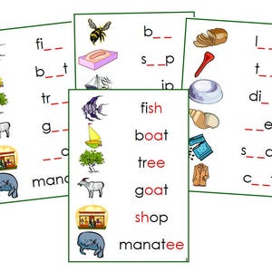 Montessori Green Phonogram Language Series Bundle (CLIPART) - Primary ...