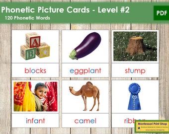 Phonetic Picture Cards Level 1 Montessori Language | Etsy