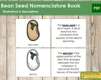 Parts of a Banana Nomenclature Book Montessori Botany | Etsy