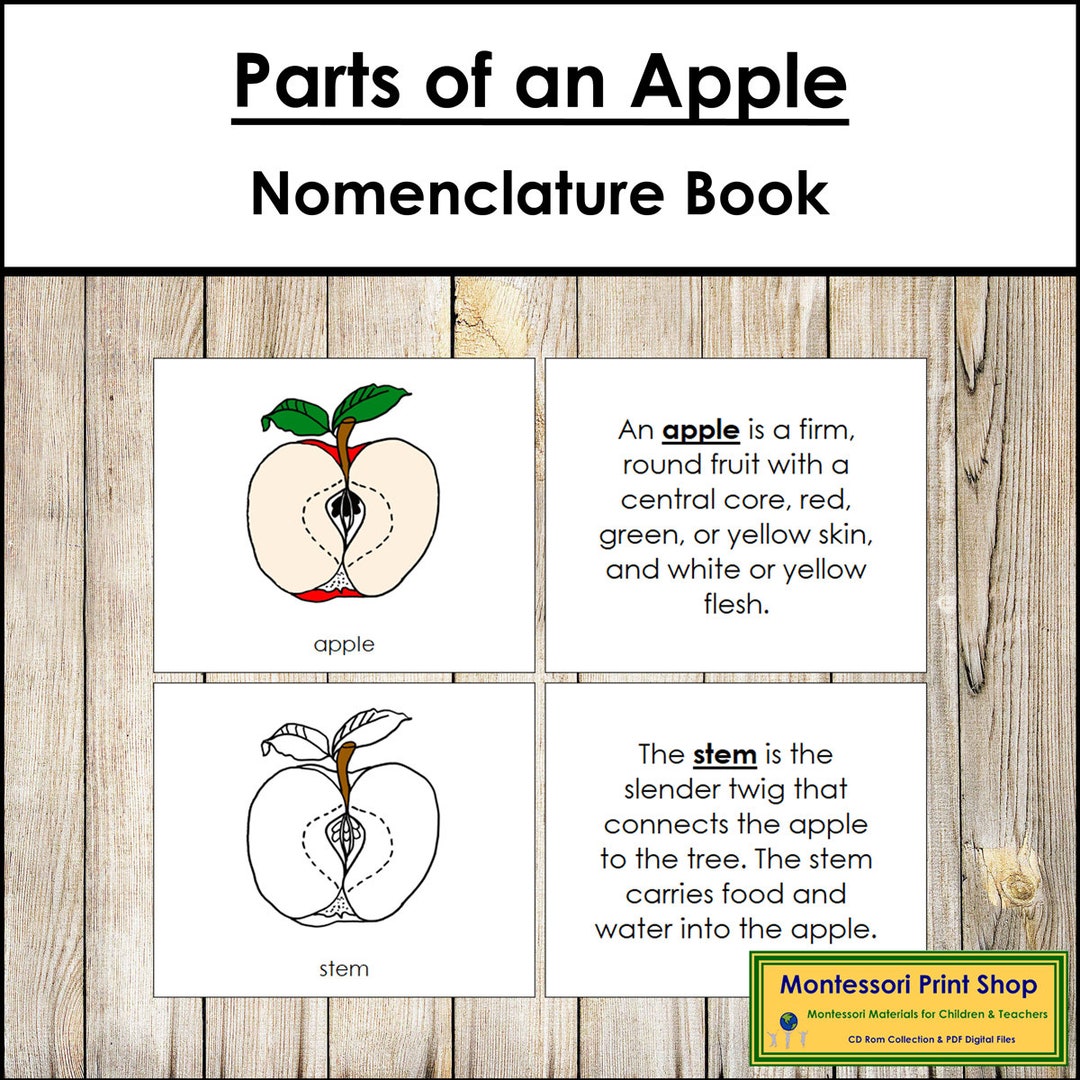 Parts of an Apple Nomenclature Book - Montessori Botany (digital ...