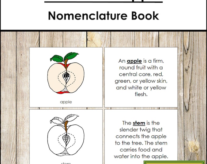 Parts of a Bean Seed Nomenclature Book Montessori Botany Printable ...