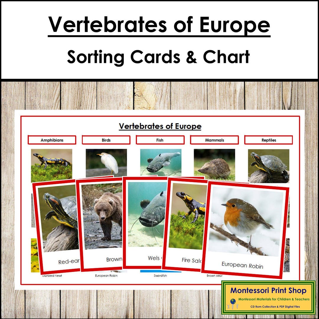 Montessori Vertebrates of Europe Sorting Cards & Chart [color-coded ...