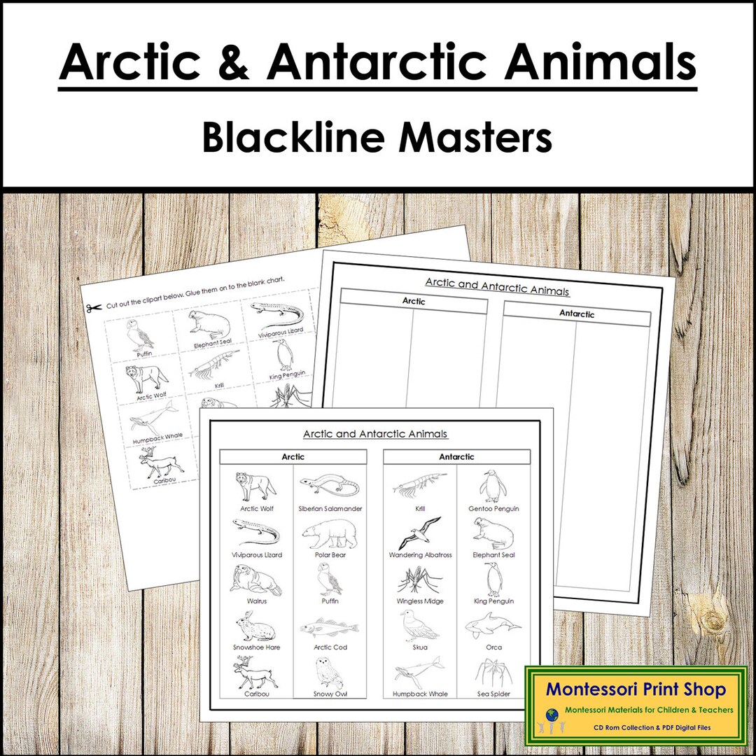 Arctic and Antarctic Animal Sorting (blackline Masters) - Zoology ...