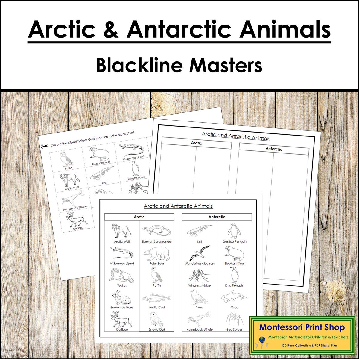Arctic and Antarctic Animal Sorting blackline Masters Zoology Printable ...