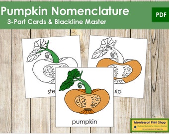Pumpkin 3 Part Cards - Etsy