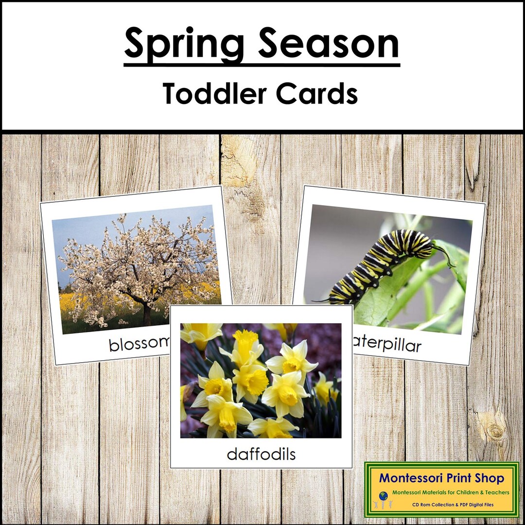 Spring Season Cards - Printable Toddler Montessori Material (digital ...