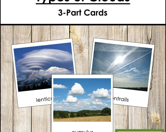 Weather - Montessori Three Part Cards - Etsy