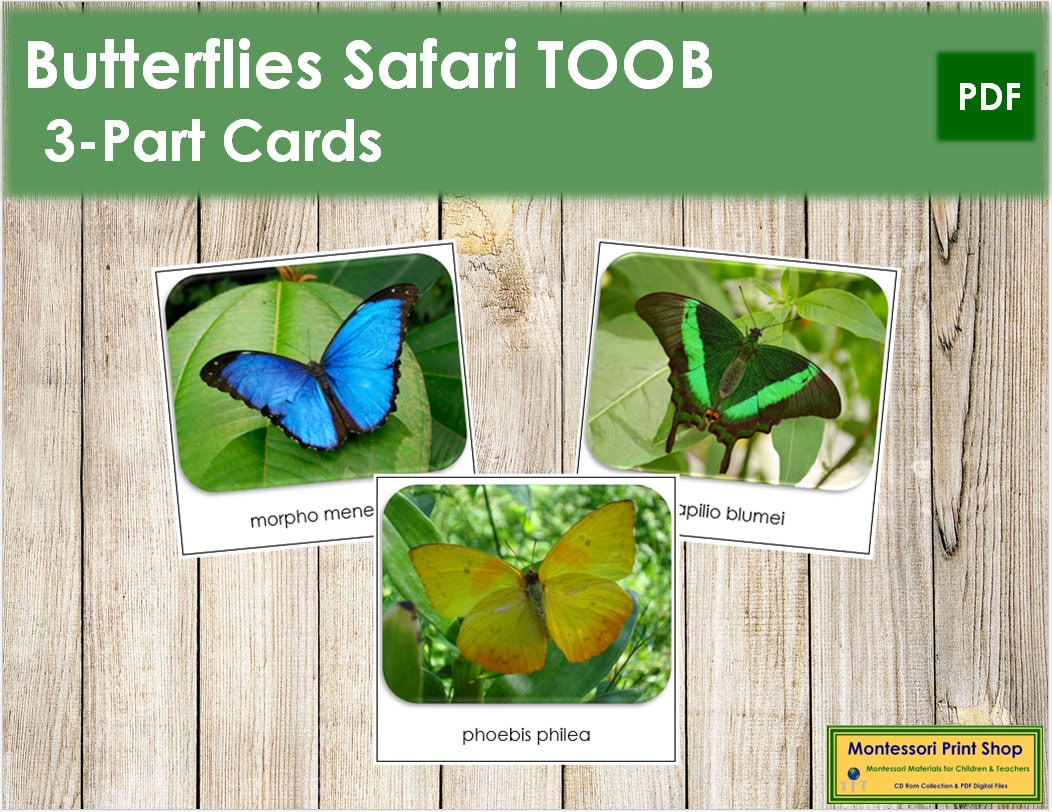 Safari Ltd Butterfly Toob - Etsy