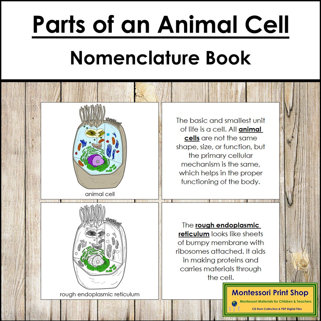 Parts of an Animal Cell Nomenclature Book - Science - Printable ...