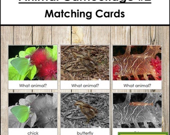 Animal Movement swim Walk & Fly Zoology Printable - Etsy