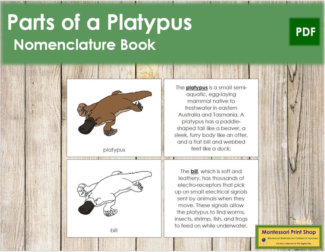 Parts of a Platypus Nomenclature Book Montessori Zoology - Etsy