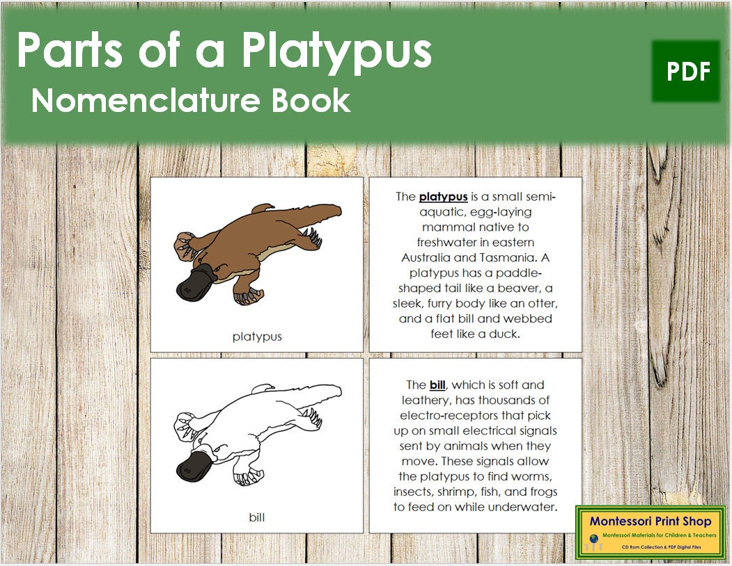 Parts of a Platypus Nomenclature Book Montessori Zoology - Etsy