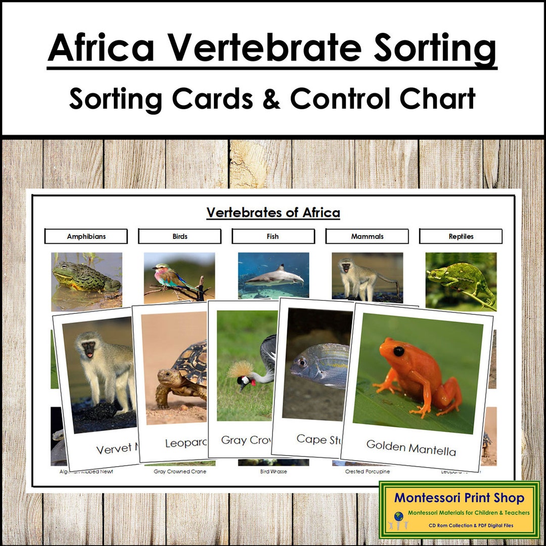 Tarjetas de clasificación de vertebrados africanos y tabla de control ...