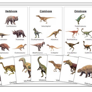 Dinosaur Sorting Cards & Chart [herbivores, Carnivores, Omnivores ...