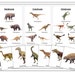 Dinosaur Sorting Cards & Chart [herbivores, Carnivores, Omnivores ...