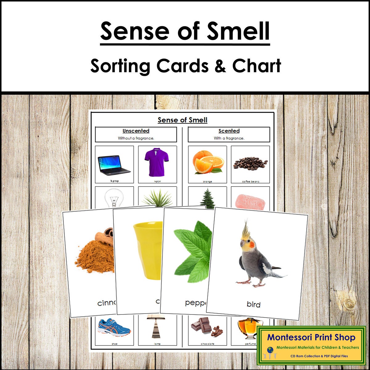 Sense of Smell Sorting Cards & Chart - Montessori Science Activity ...