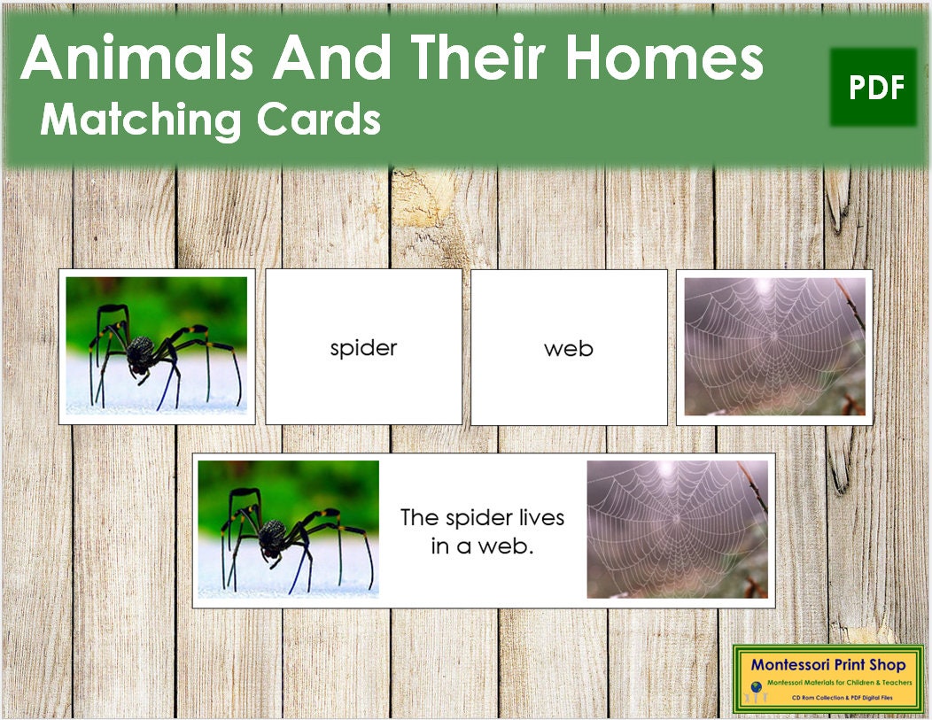 Animals and Their Homes Matching Cards Zoology Printable - Etsy