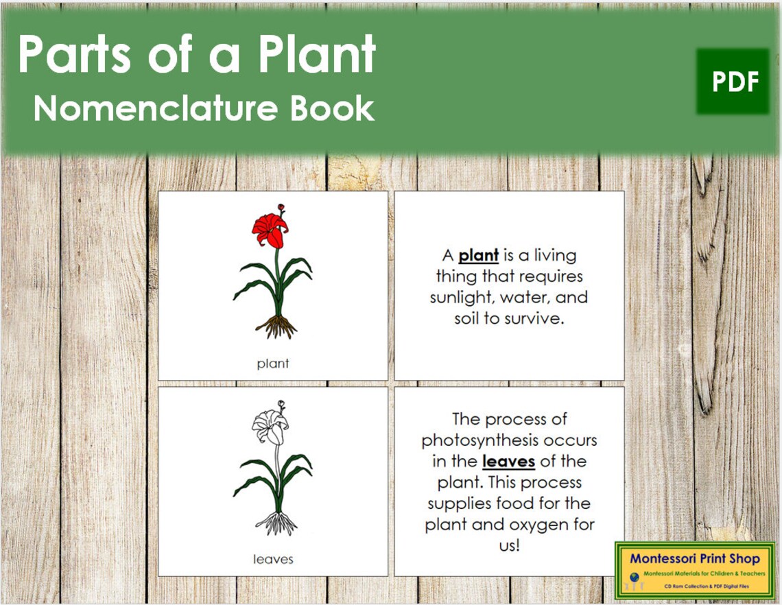 Parts of a Plant Nomenclature Book Montessori Botany - Etsy Canada