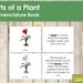 Parts of a Plant Nomenclature Book Montessori Botany - Etsy Canada