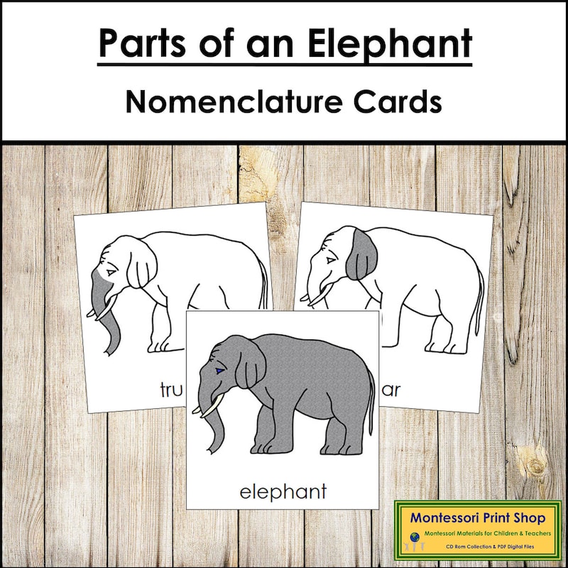 Parte elefante - Etsy Italia