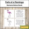 Parts of a Stem Nomenclature 3-part Cards Montessori Botany Printable ...