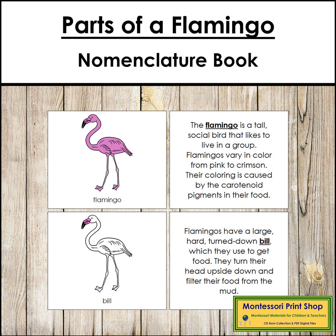 Parts of a Flamingo Nomenclature Book - Montessori Zoology (digital ...