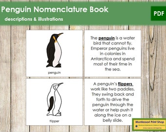 Parts of a Kangaroo Nomenclature Book Montessori Zoology | Etsy