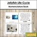 The Jellyfish Life Cycle Book Montessori Nomenclature - Etsy