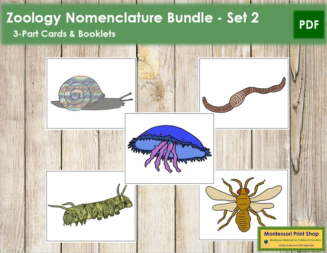 Zoology Nomenclature 3-part Cards & Books Nomenclature Bundle | Etsy