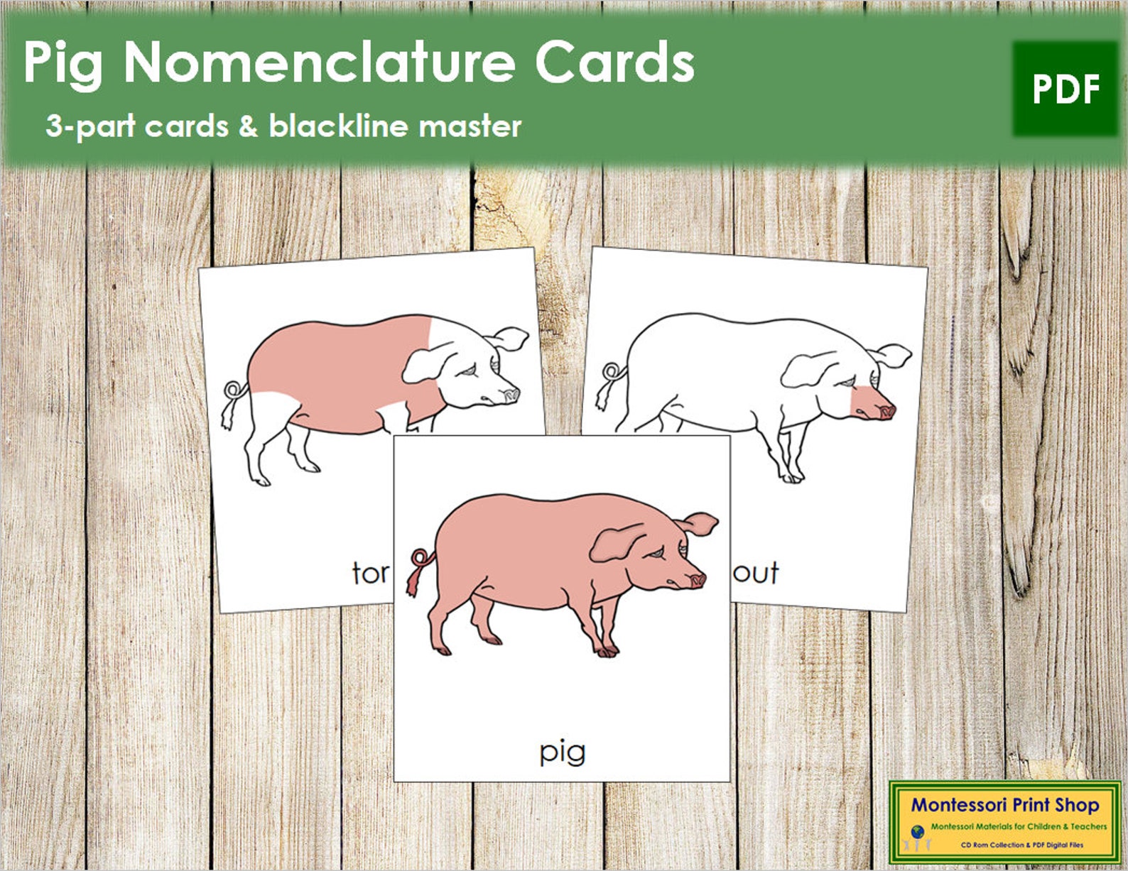 Parts of a Pig Nomenclature 3-part Cards Montessori Zoology | Etsy UK