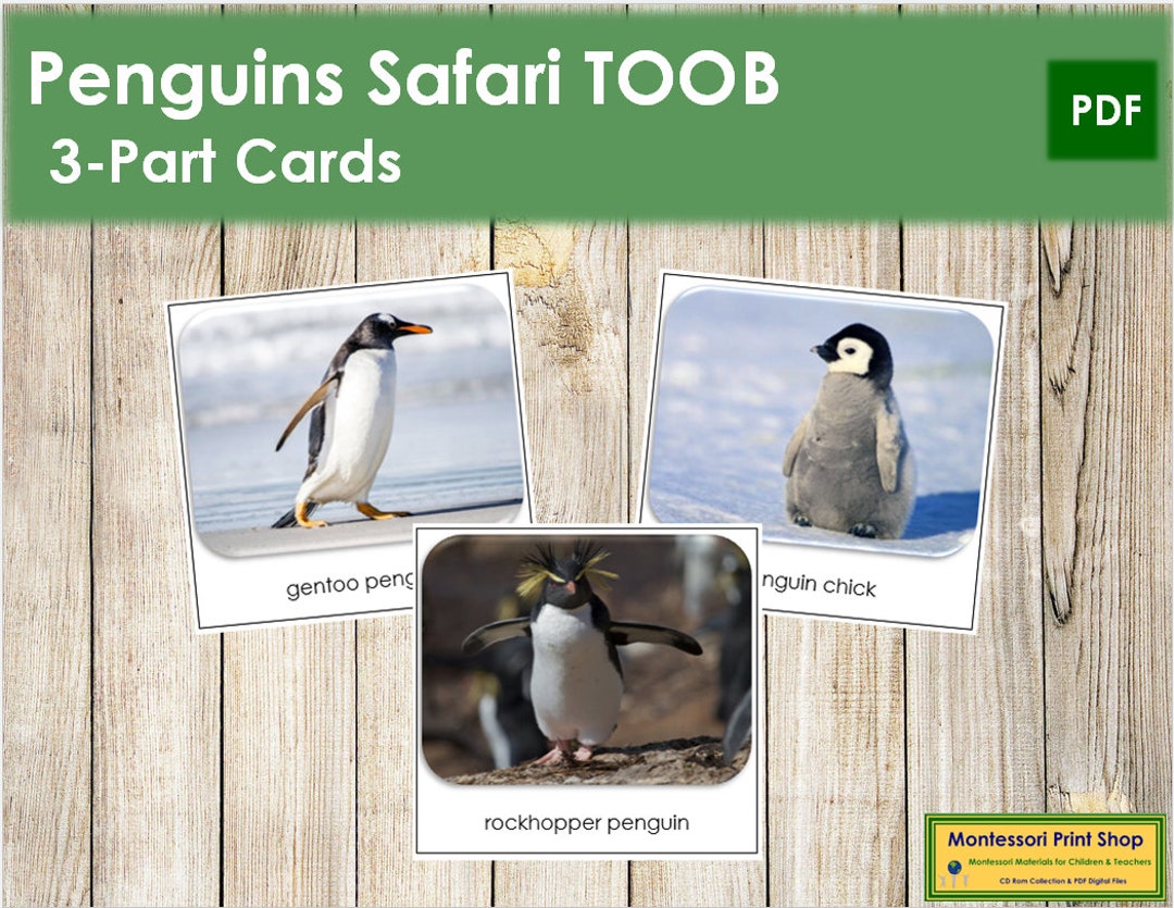 Penguins Safari TOOB Cards Printable Montessori Cards - Etsy