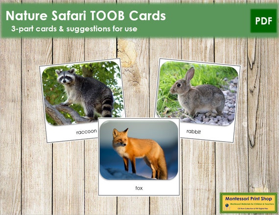 Nature Safari TOOB Cards Printable Montessori Cards | Etsy