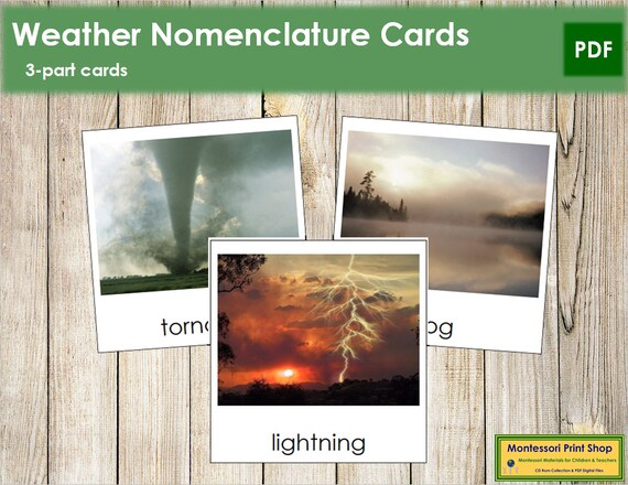 Types of Weather Nomenclature 3-part Cards Science | Etsy