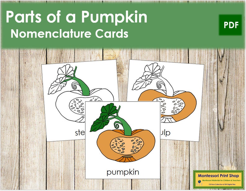 Parts of a Pumpkin Nomenclature 3-part Cards Montessori - Etsy