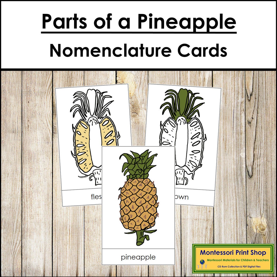 Parts of a Pineapple Nomenclature 3-part Cards - Montessori Botany ...