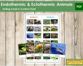 Ocean Animals Sorting Cards & Control Chart Zoology - Etsy