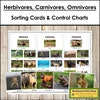 Classes of Vertebrates Sorting Cards & Control Chart - Zoology ...