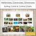 Classes of Vertebrates Sorting Cards & Control Chart - Zoology ...