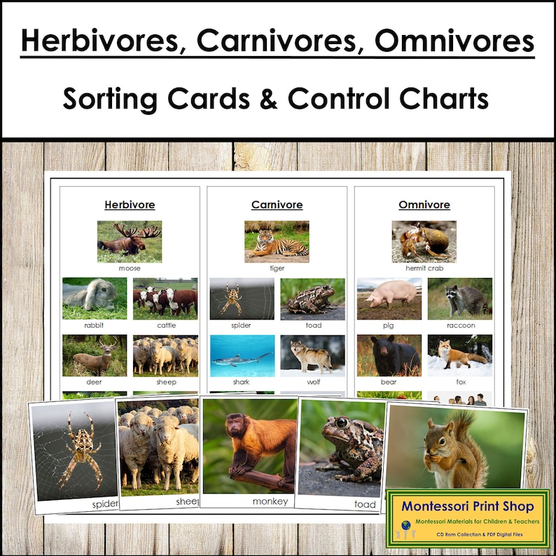 Herbivores, Carnivores and Omnivores Sorting Cards & Charts ...