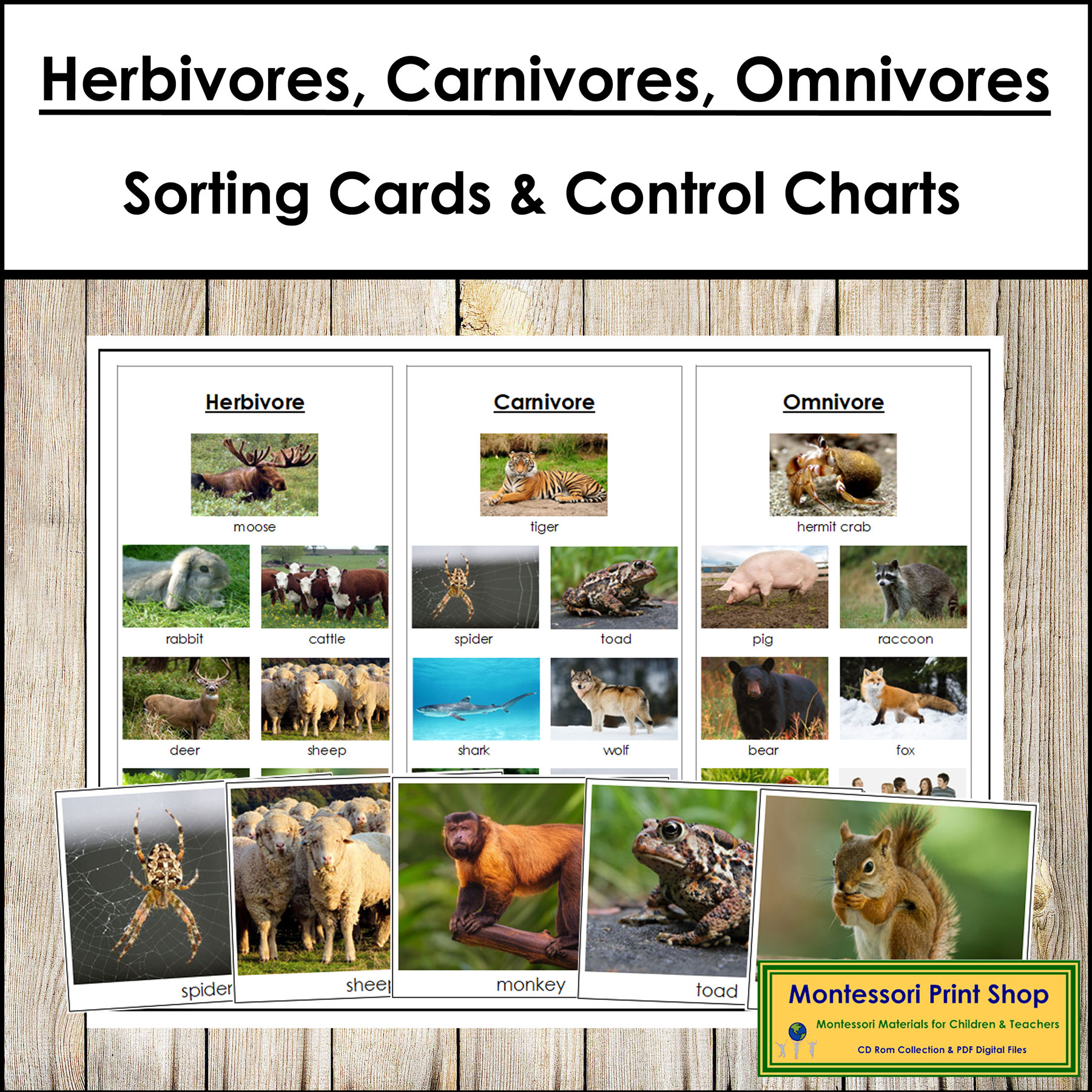 Herbivore Carnivore Omnivore Learn To Classify Animals: Herbivore,