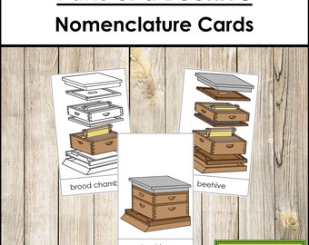 Montessori 3 Part Cards Parts of a Zebra - Etsy